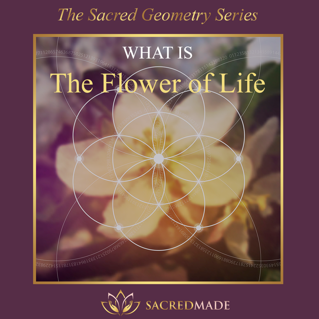 The Flower Of Life Sacred Geometry Book | Best Flower Site